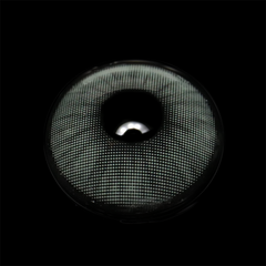Hidrocor Graphite Gray Prescription Colored Contact Lenses – BEAUEYE (US)